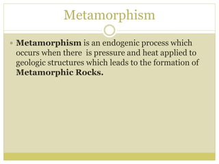Endogenic processes - The Process Within | PPTX