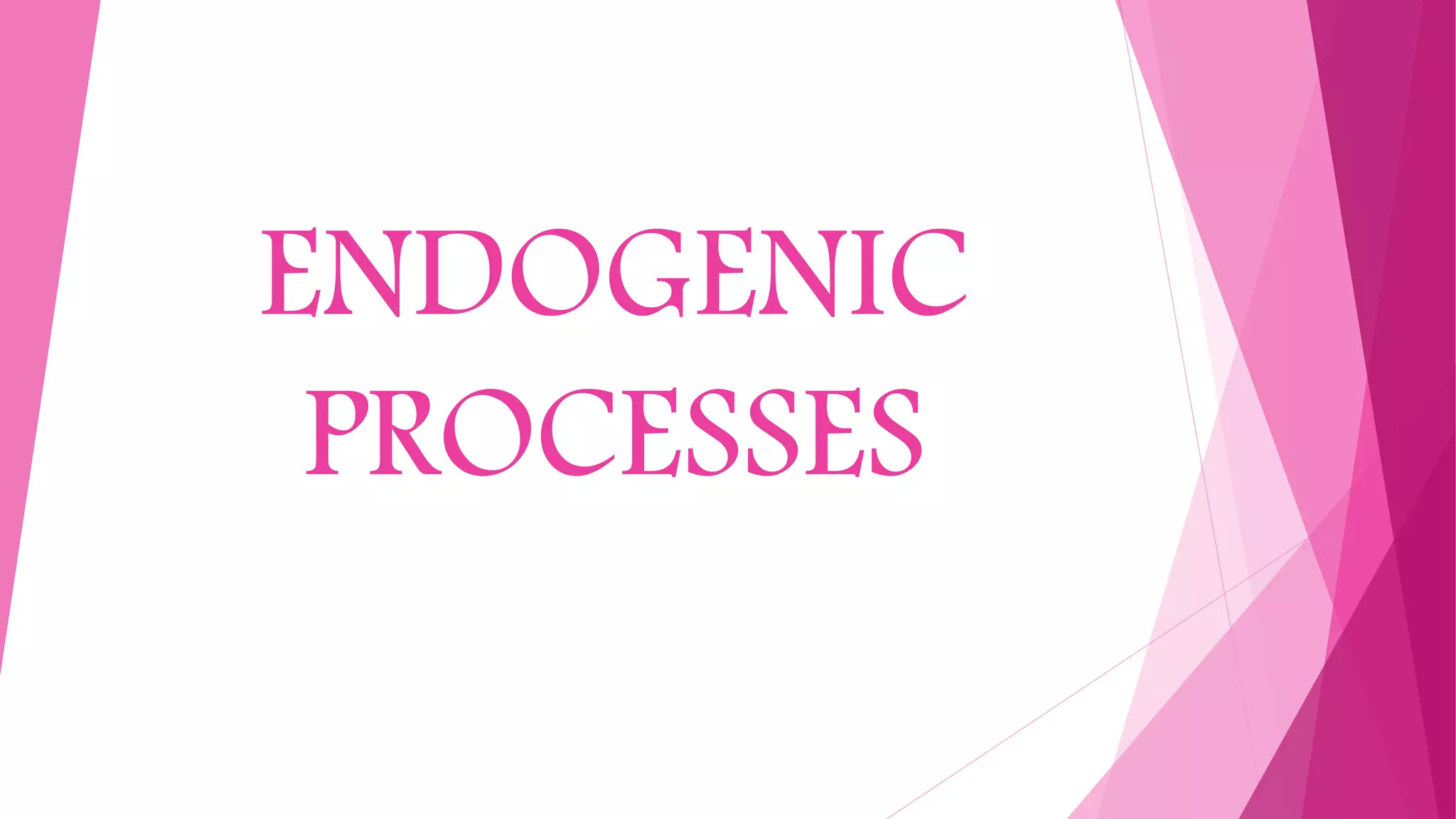 Endogenic processes(Michelle Domingo) | PPT