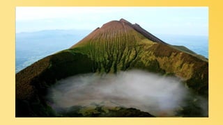 Endogenic Processes Plutonism Volcanism.pptx