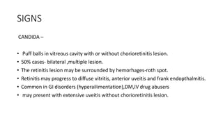Endogenous fungal infections of eye | PPT