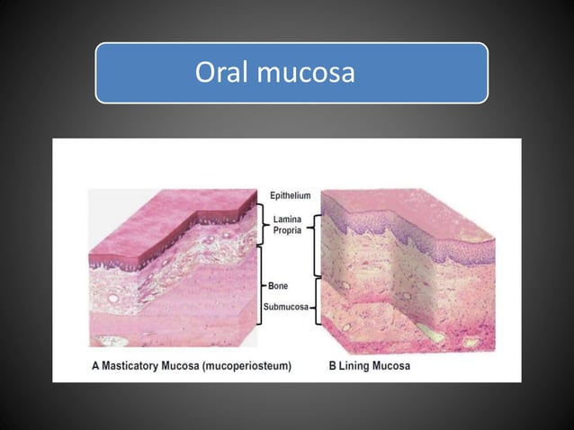 Endogenous pigmentation | PPTX | Skin and Dermatology | Diseases and ...