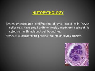 Endogenous pigmentation | PPTX