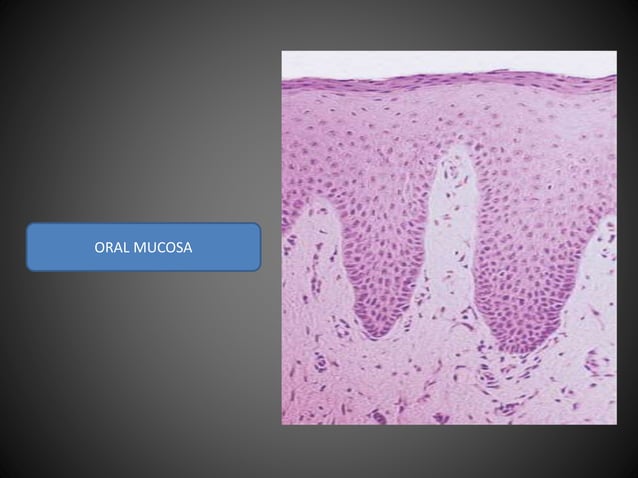 Endogenous pigmentation | PPTX | Skin and Dermatology | Diseases and ...