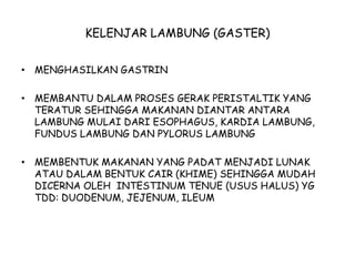 Endokri ncopy01 | PPT