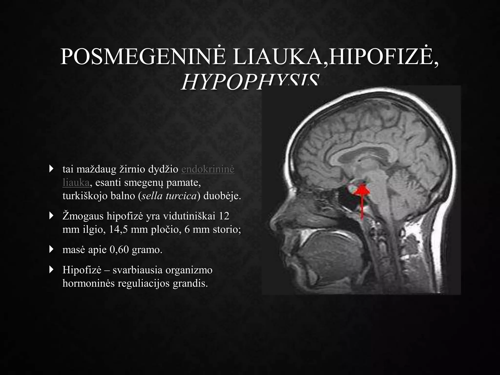 Endokrinine sistema | PPT