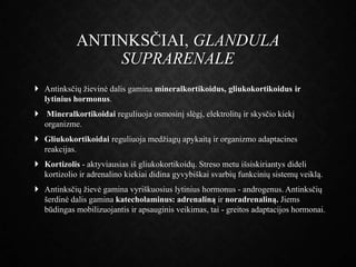 Endokrinine sistema | PPT
