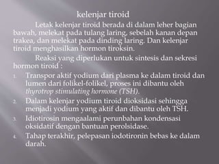 kelenjar Endokrin - hormon | PPT