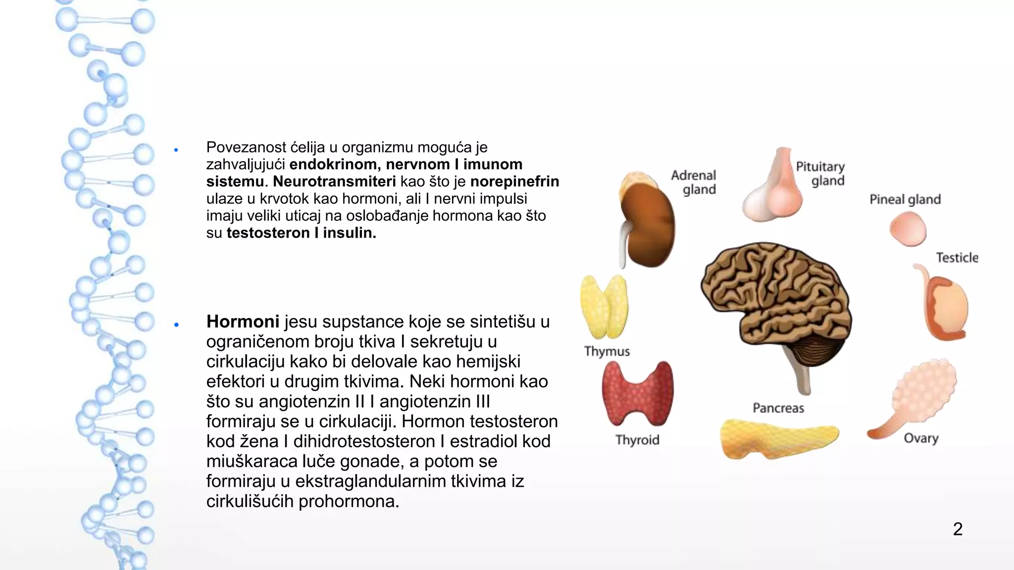 Endokrinologija - Interna medicina | PPT
