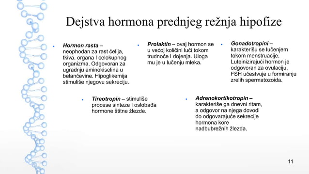 Endokrinologija - Interna medicina | PPT