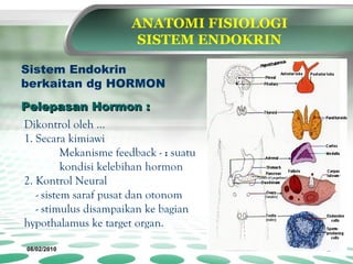 Endokrin tm11 | PPT