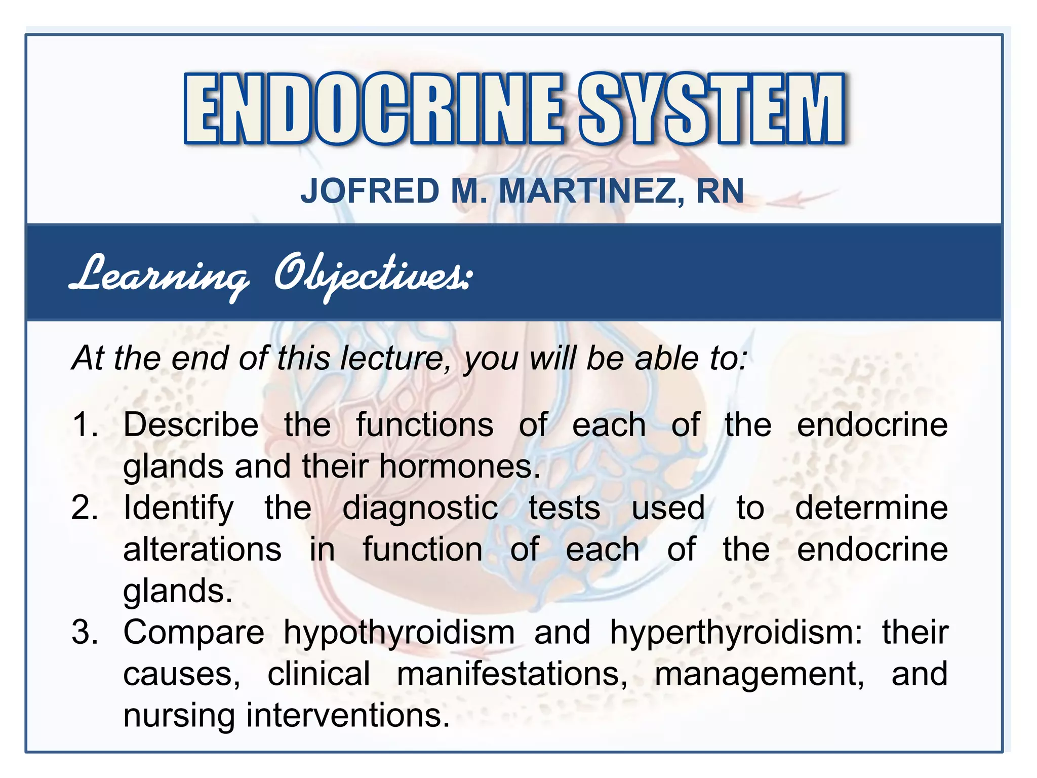 Endocrine System Lecture | PDF