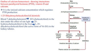 Endo lec 6 Calcium Metabolism.pptx