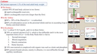 Endo lec 6 Calcium Metabolism.pptx