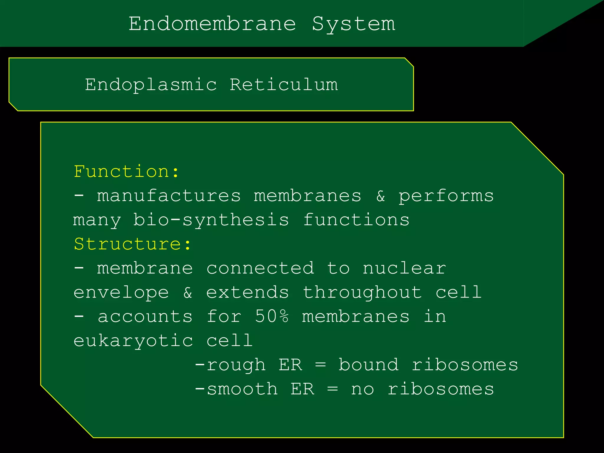 Endomembrane System | PPTX