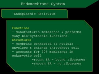 Endomembrane System | PPTX