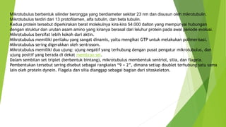 Endomembran.pptx