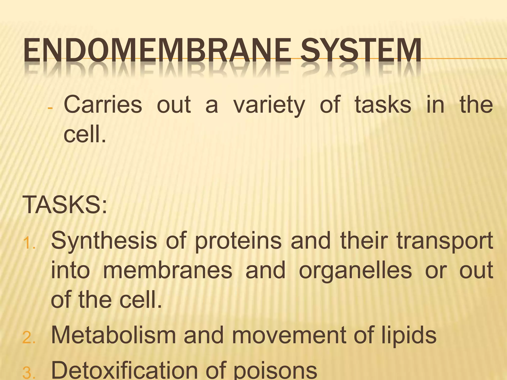 Endomembrane system (from Biology 8th edition by Campbell et al.) | PPTX
