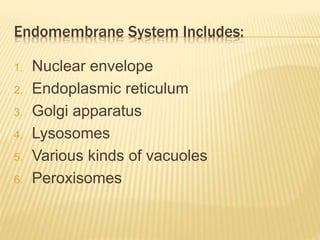 Endomembrane system (from Biology 8th edition by Campbell et al.) | PPTX