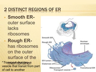 Endomembrane system (from Biology 8th edition by Campbell et al.) | PPTX