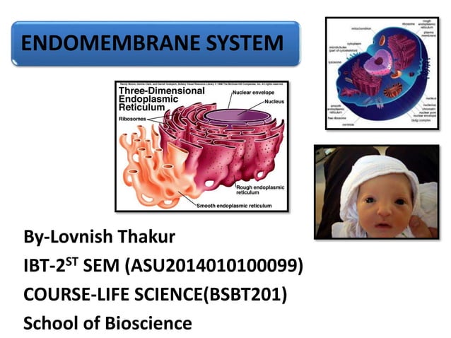 Endomembrane system | PPTX