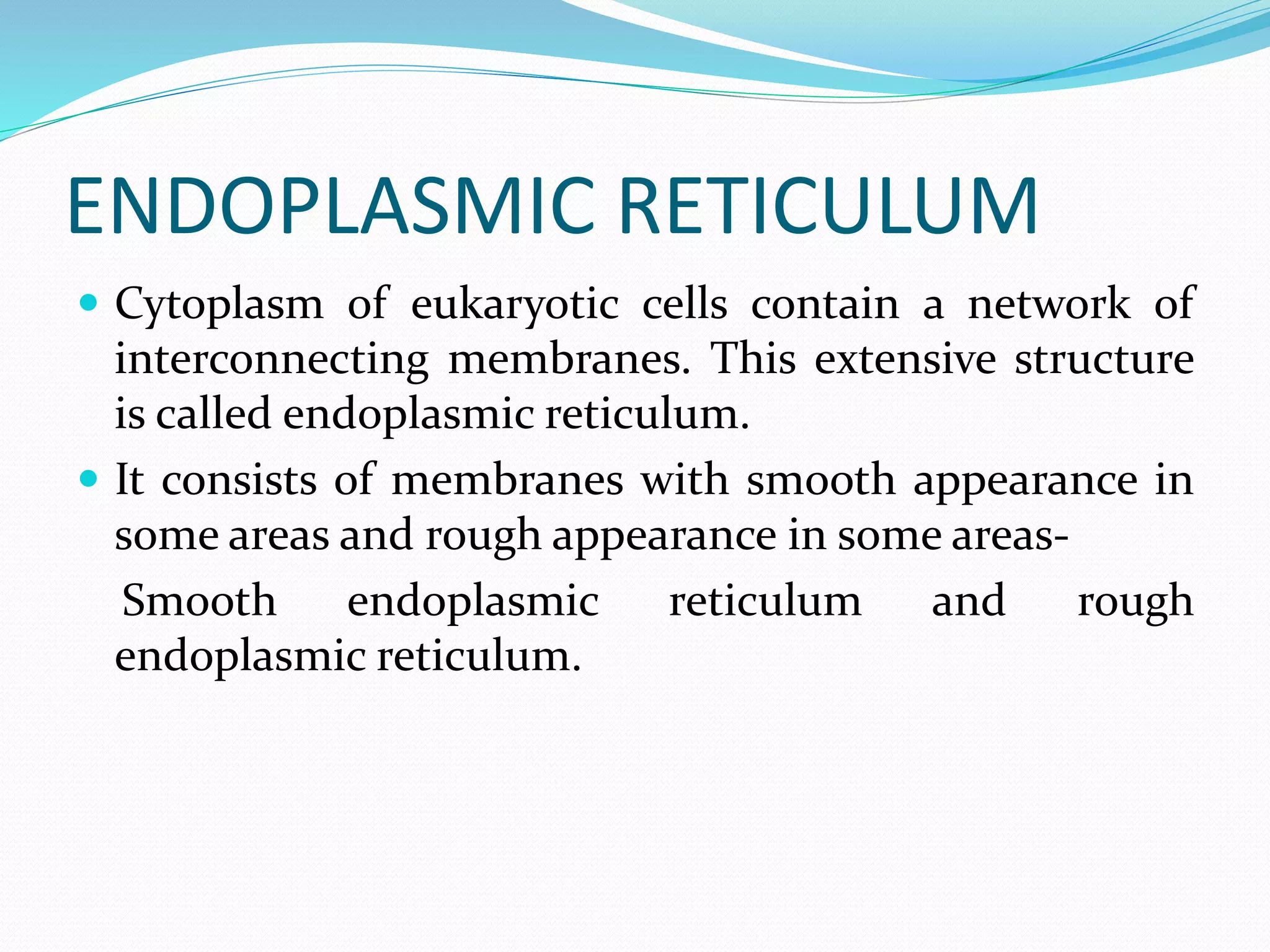 Endo membrane system | PPTX