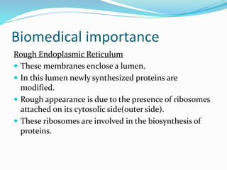 Endo membrane system | PPTX