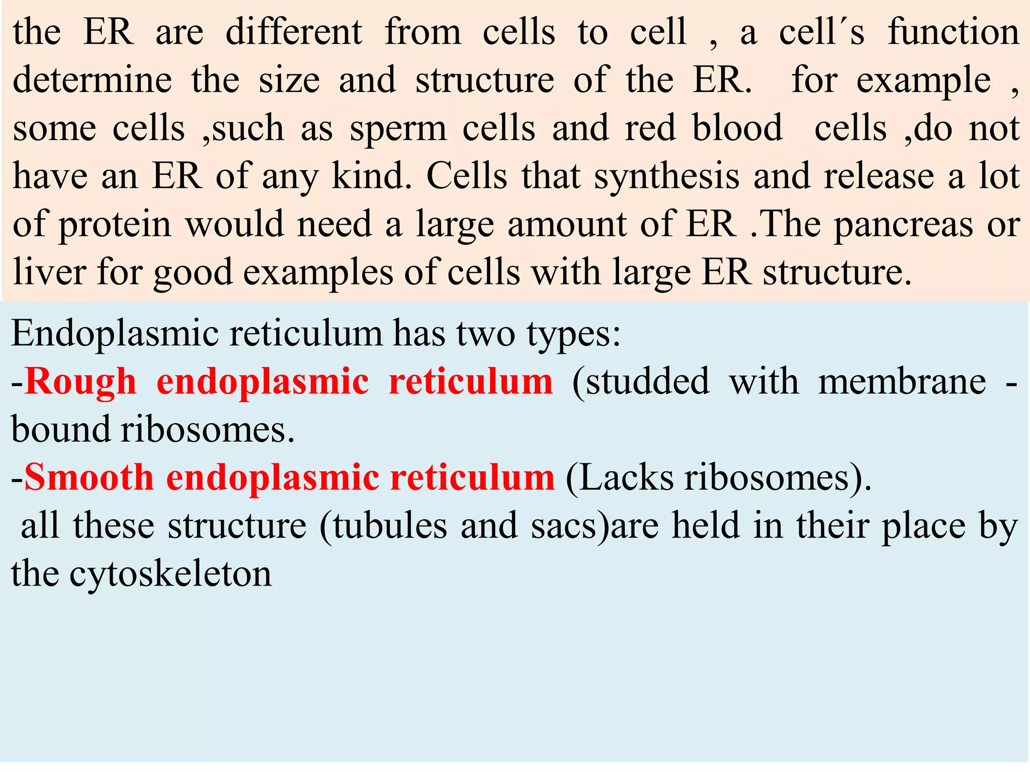 endomembrane_system Cc4.pdf