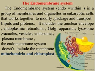endomembrane_system Cc4.pdf