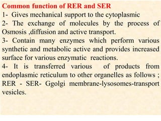 endomembrane_system Cc4.pdf