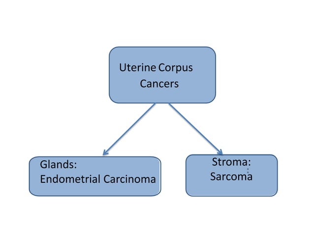 ENDOMETRIAL CANCER (1).pptx