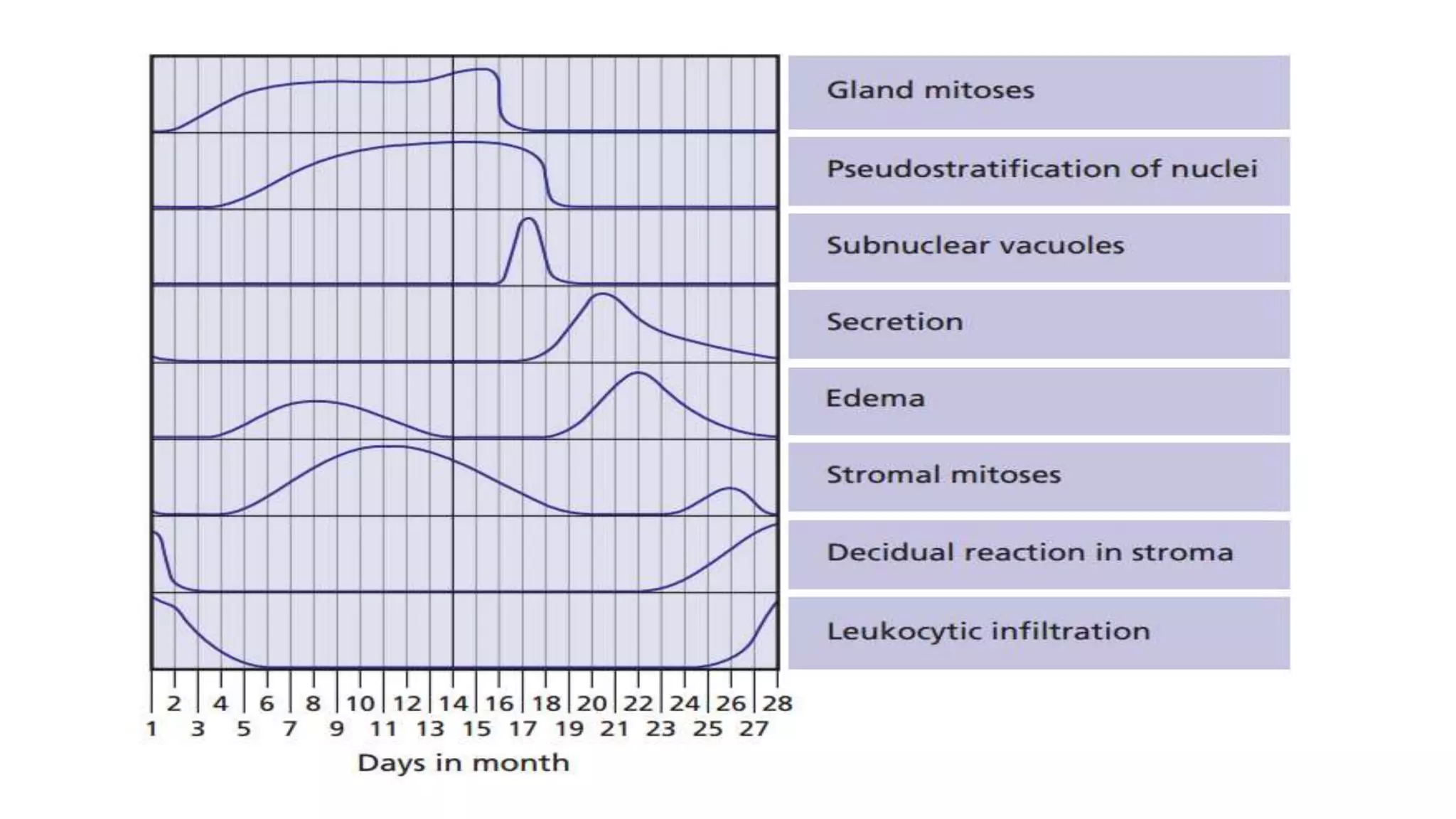 ENDOMETRIAL DATING.pptx