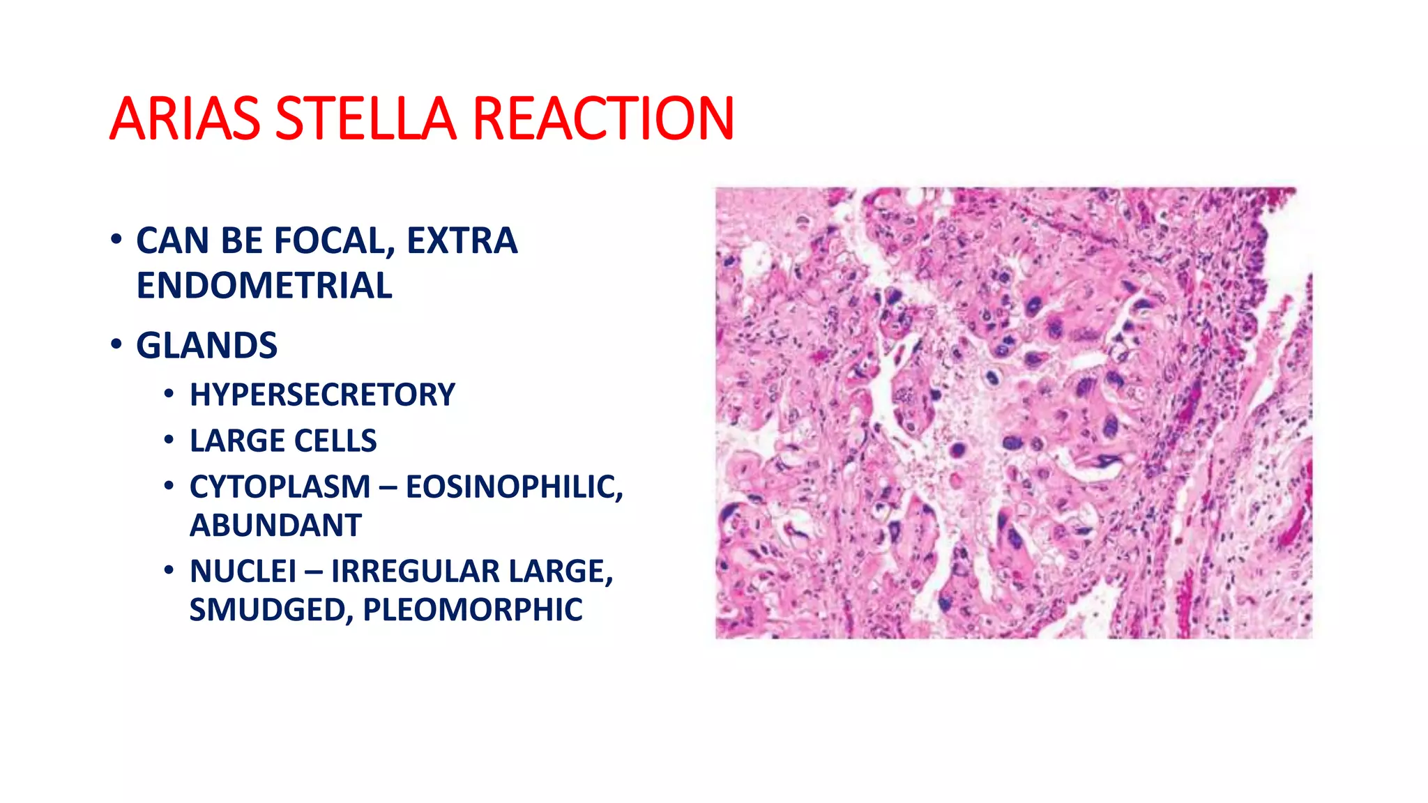 ENDOMETRIAL DATING.pptx