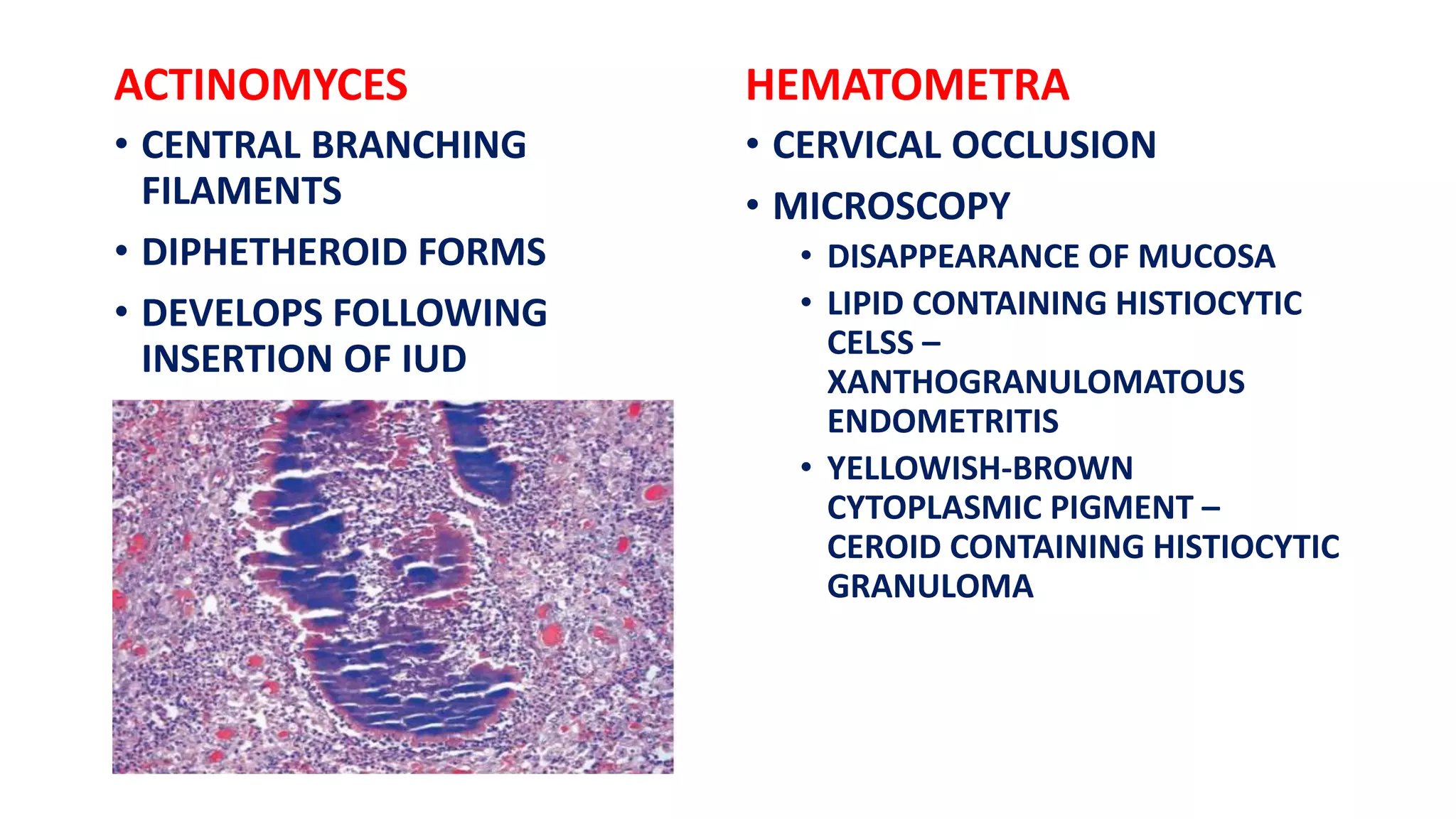 ENDOMETRIAL DATING.pptx