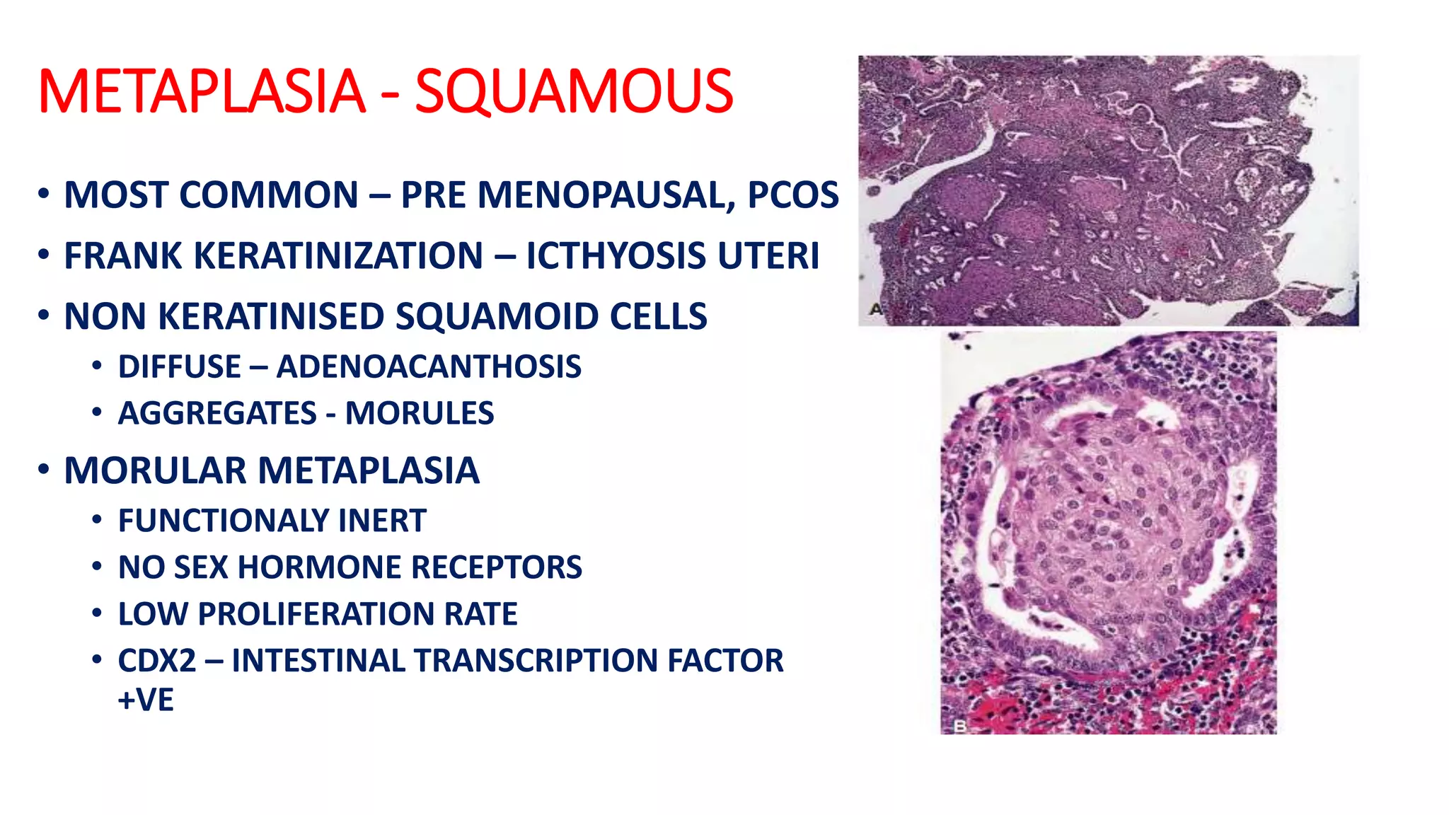 ENDOMETRIAL DATING.pptx
