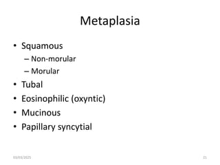 Endometrial Histology: Normal findings, artefacts and metaplasia | PDF