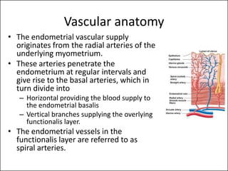 Endometrial histopathology-Basics | PDF