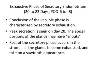 Endometrial histopathology-Basics | PDF