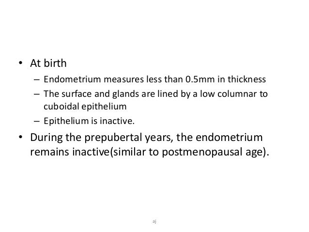 Endometrial Dating Histology Telegraph