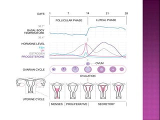 endometrium pathology | PPTX