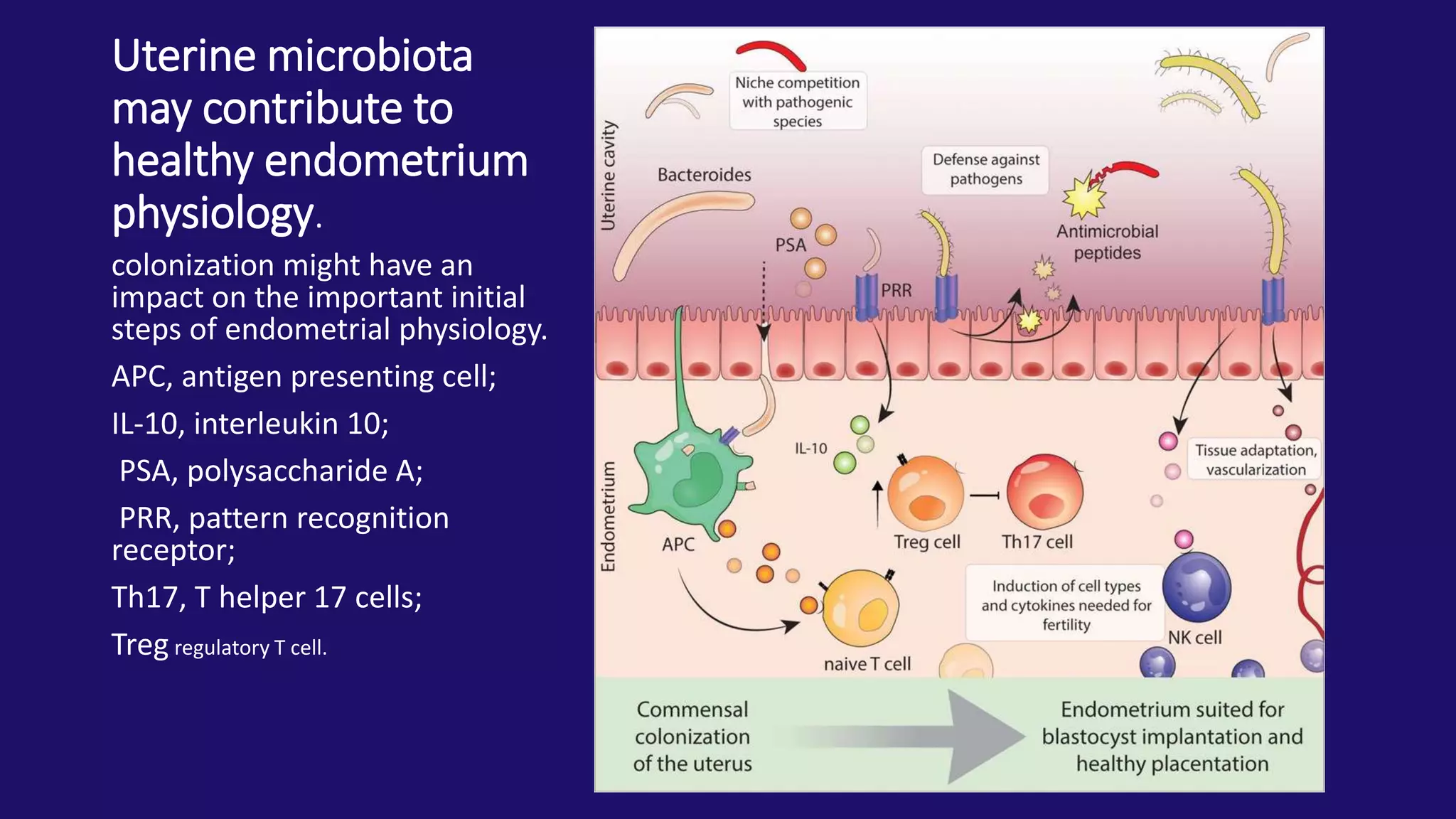 Endometrial receptivity | PPTX