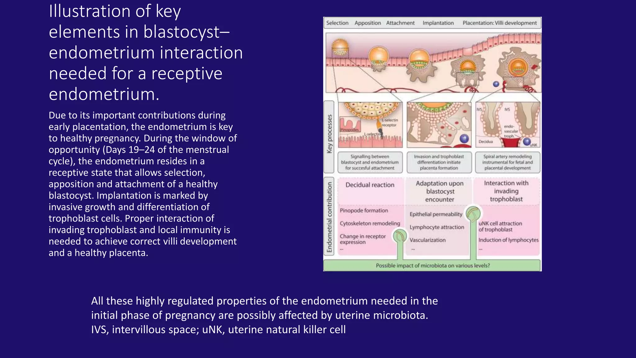 Endometrial receptivity | PPTX