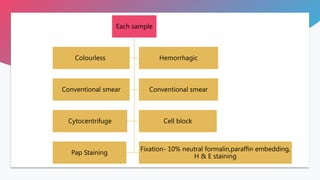 Endometrial Secrets Unmasked through Cytology Analysis ppt - Copy.pptx