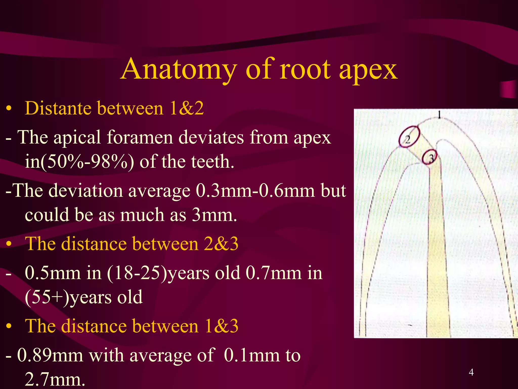 working length estimation in endodontic | PPTX
