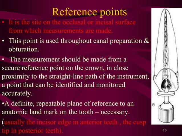 working length estimation in endodontic | PPTX