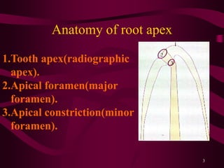 working length estimation in endodontic | PPTX