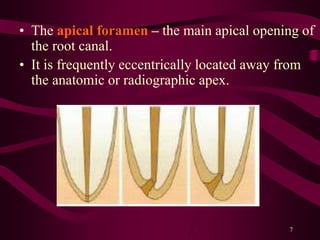 working length estimation in endodontic | PPTX