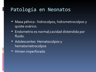 Endometrio | PPT