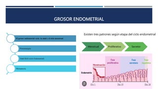 Endometrio imagenologia .pptx........... | PPTX