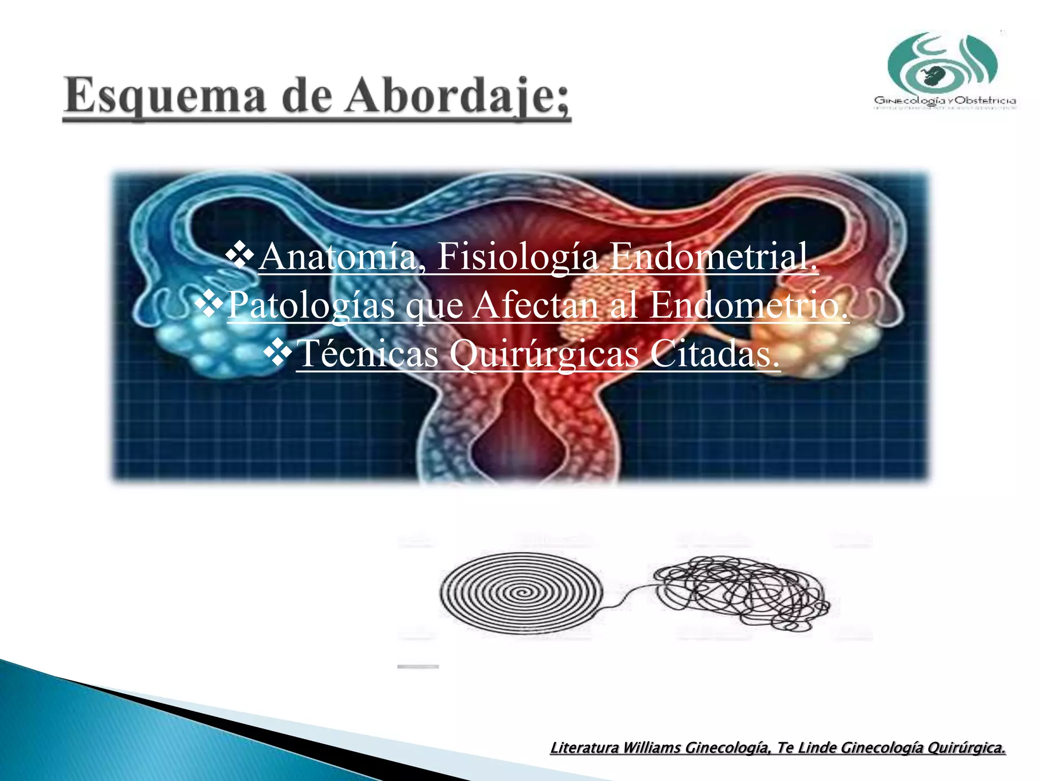 ENDOMETRIO, PATOLOGIA Y TECNICA QUIRURGICAS_025856.pptx