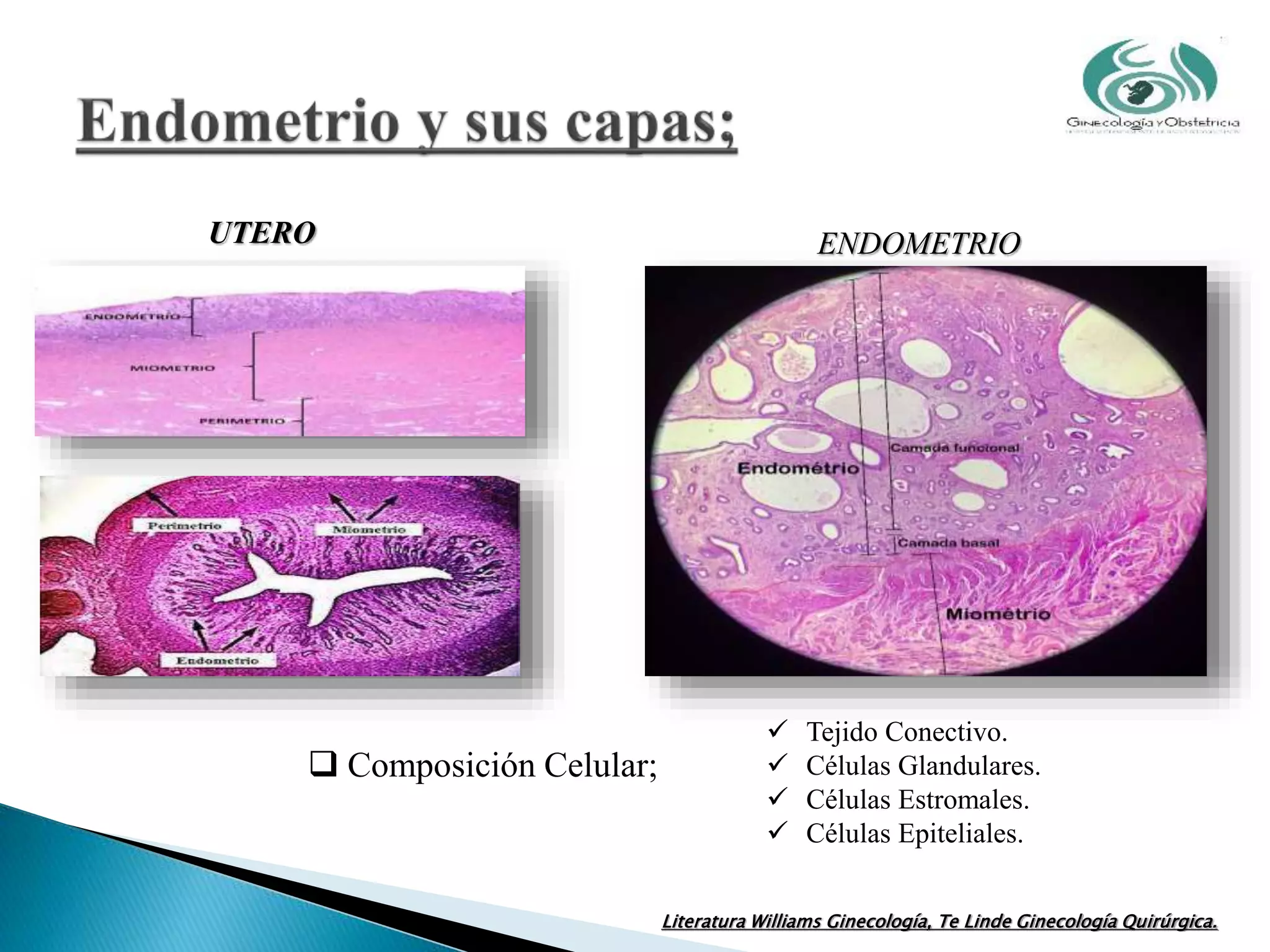 ENDOMETRIO, PATOLOGIA Y TECNICA QUIRURGICAS_025856.pptx